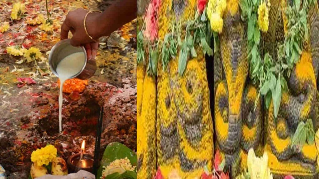 Nagula Chavithi: ఈ ఏడాది నాగుల చవితి పండగ విషయంలో గందర గోళం.. నవంబర్ ...